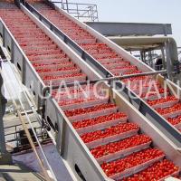 China 400g 800g Tin Can Tomato Paste Production Line Stainless Steel for sale