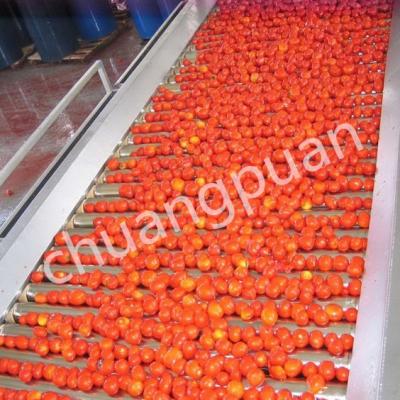 China Industrial Scale Tomato Paste Production Line With Tube In Tube Or Tular Sterilizer for sale