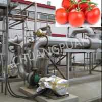 China 10g Plastic Bag Tomato Paste Production Line PLC Controlled for sale