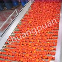 China Tube In Tube Or Tular Sterilizer Tomato Paste Production Line 2-20T/H for sale