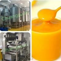 China 20KW Mango Processing Machine Stainless Steel 380V 410V for sale