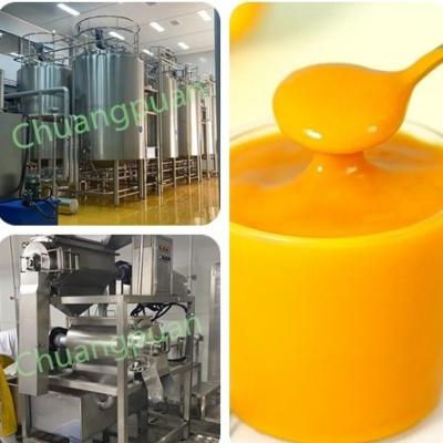 China 20KW Mango Processing Machine Stainless Steel 380V 410V for sale