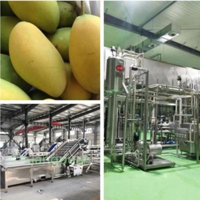China 500-50000KG/H Mango Pulp Production Line Stainless Steel 380V 410V for sale
