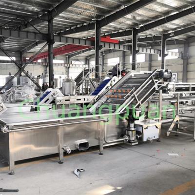 China CE Mango Pulper 500-50000KG/H Stainless Steel 20KW for sale