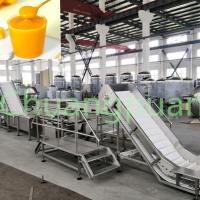 China 380V 410V 20KW Mango Pulp Making Machine Stainless Steel for sale