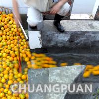 China 440V 380V Orange Juice Processing Machine 0.4-0.6MPa for sale