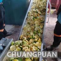 China Stainless Steel Orange Juice Production Line Automatic PLC Control for sale