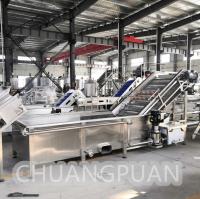 China 1-20T/H Fruit Pulper Automatic Stainless Steel Chain Plate Bubble Washing Machine For Fruit for sale