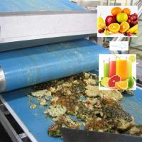 China PLZ-1.5 304 Stainless Steel Screw Type Fruit Juicer For Sea Buckthorn Apple for sale