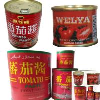 China Hot Filling Type Tomato Sauce Making Machine With Automatic Filling System for sale