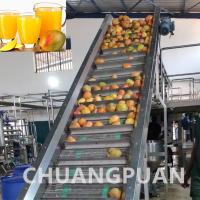 China 20 - 150KW Mango Pulp Production Processing Line With Stainless Steel Material for sale