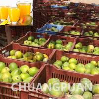China Stainless Steel Concentrated Mango Juice Plant With Quick 40-70 Days Delivery for sale