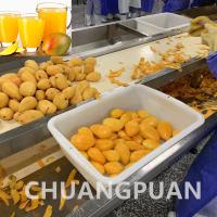 China Stainless Steel Mango Preserved Fruit Production Line With Pulping Process And 0.5-20T/H Capacity for sale