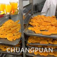 China Stainless Steel Mango Preserved Fruit Production Line With Pulping Process And 0.5-20T/H Capacity for sale