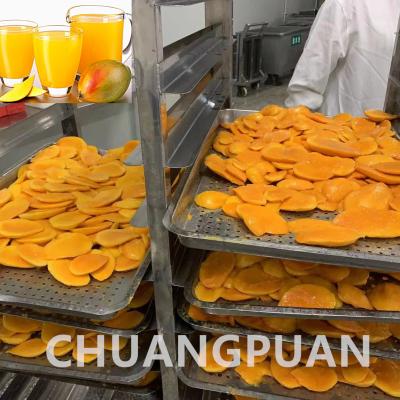 China Stainless Steel Mango Preserved Fruit Production Line With Pulping Process And 0.5-20T/H Capacity for sale