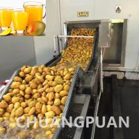 China Stainless Steel Mango Juice Beverage Production Line For High Performance Output for sale