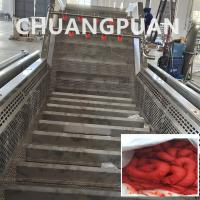 China 28-30 Brix Concentrated Tomato Paste Production Line 3-5T/H International Circulation for sale