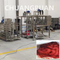 China Stainless Steel Tomato Ketchup Production Line Gas Heating Resource And Automatic Filling System for sale