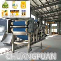 China 10-20Brix NFC HPP Pineapple Juice Processing Line With More Than 10 Years History for sale