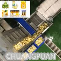 China 5Th Canned Chucked Pineapple Food Processing Line with Automatic Operation for sale
