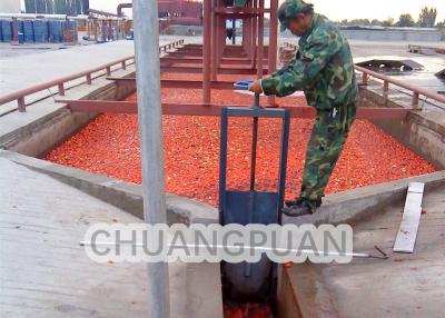 China High Capacity Tomato Paste Production Line PLC Automatic Control Aseptic Cold Filling 3-50T/H for sale