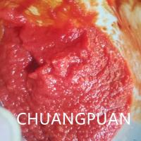 China High Capacity Tomato Paste Production Line 20-50T/H Aseptic Drum Bag Filling Speed OEM Available for sale