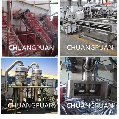China 1-50T/H PLC Automatic Control Tomato Paste Production Line for Sauce and Ketchup Processing for sale