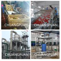 China Stainless Steel PLC Controlled Tomato Ketchup Production Line 1-50T/H Capacity Engineer Site Support for sale