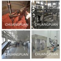China Industrial Automatic Tomato Paste Production Line / Tomato Processing Line with Aseptic Filling for sale