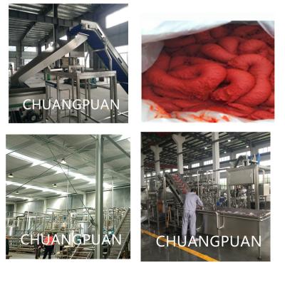 China Stainless Steel Tomato Paste Line with Aseptic Filling Automatic Capping System for sale