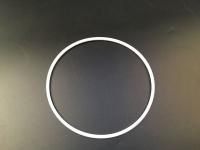 China Large PTFE  Gasket Heat Resistance Elastomeric With Good Mechanical Properties for sale