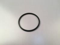 China Light Weight PTFE Ring Gasket , Electrical Insulation Expanded PTFE Gasket for sale