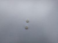 China Transparent Molded Rubber Parts For Gas Seal In High Temperature Circumstance for sale