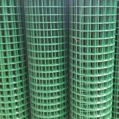 China Electro-Galvanized Cold Galvanized Welded Wire Mesh for Short-Term Indoor Temporary Isolation Barrier for sale
