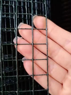 China Electro-Galvanized Cold Galvanized Welded Wire Mesh for Indoor Ventilation Cover Protection Mesh for sale