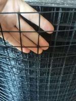 China Electro-Galvanized Cold Galvanized Welded Wire Mesh for Indoor Ventilation Cover Protection Mesh for sale