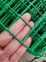 China External Wall Thermal Insulation Welded Wire Mesh Firm Welding Crack Resistant for EPS XPS Plastering Construction for sale
