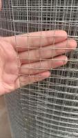China Electro-Galvanized Cold Galvanized Welded Wire Mesh for Household Protection Screen Window Door for sale