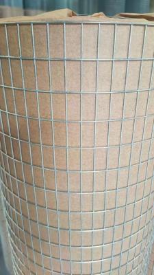 China Electro-Galvanized Cold Galvanized Welded Wire Mesh for Indoor Warehouse Partition Goods Zoning for sale