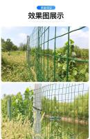 China Uniform Flat External Wall Insulation Welded Wire Mesh Standard Specification for Old Building Renovation Project for sale
