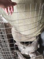 China 201 304 Stainless Steel Welded Wire Mesh Anti-Corrosion Roll for Sorting Screening Machine Guard for sale
