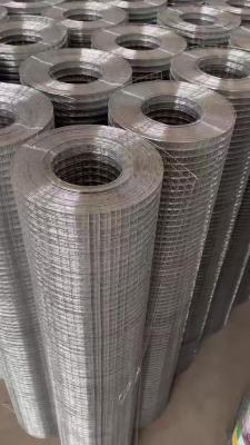 China Electro-Galvanized Cold Galvanized Welded Wire Mesh for Deep Processing Crafts Decorative Grid for sale