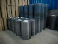 China Electro-Galvanized (Cold Galvanized) Welded Wire Mesh for sale