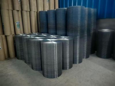 China Electro-Galvanized (Cold Galvanized) Welded Wire Mesh for sale