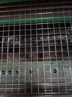 China Electro-Galvanized Cold Galvanized Welded Wire Mesh for Indoor General Purpose Dry Environment Barrier for sale