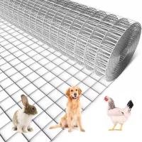 China Poultry Livestock Breeding Wire Mesh Anti Rust for sale