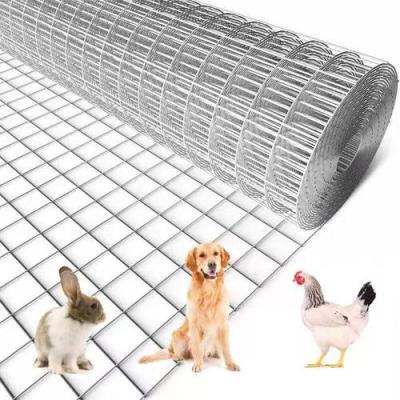 China Poultry Livestock Breeding Wire Mesh Anti Rust for Orchard Livestock Protection Fencing for sale
