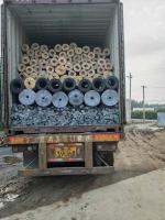 China Electro-Galvanized Cold Galvanized Welded Wire Mesh for Indoor Construction Plastering Reinforcement for sale