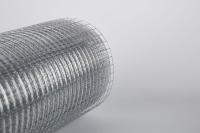 China Anti-Corrosion Durable Welded Wire Mesh Panel for Construction Wall Anti-Crack Plaster Mesh for sale