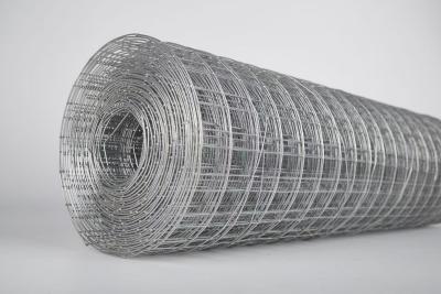 China Anti-Corrosion Durable Welded Wire Mesh Panel for Breeding Industry Chicken Cage Panel for sale
